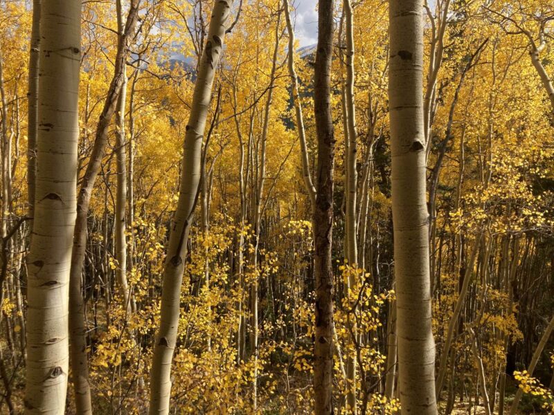 5 Bucket List Fall Activities in Colorado | CAG Backcountry Blog